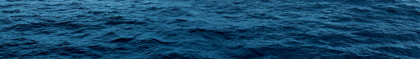 SENTIMENT OCÉANIQUE – Vie de l'esprit – S'ouvrir à l'intelligence ...