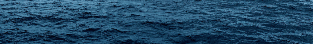 SENTIMENT OCÉANIQUE – Vie de l'esprit – S'ouvrir à l'intelligence ...